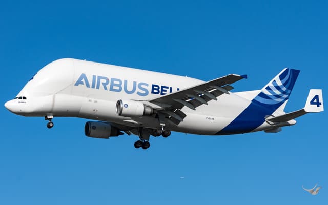 Airbus Beluga vs Boeing Dreamlifter Comparison | WebFlite