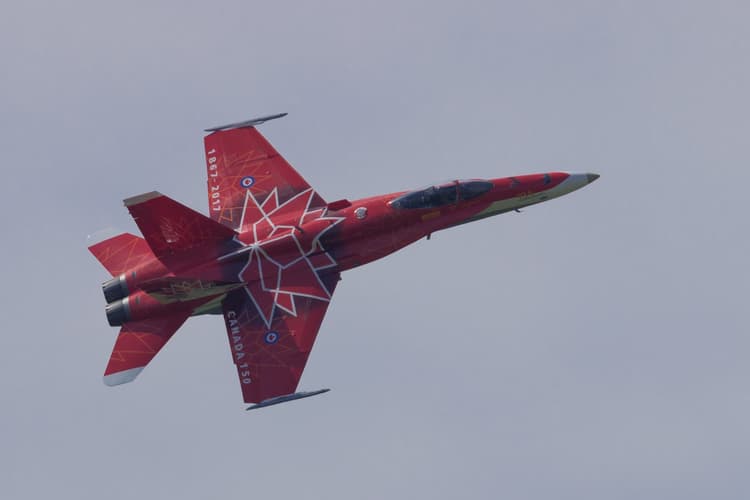23 of the Best Fighter Jet Liveries